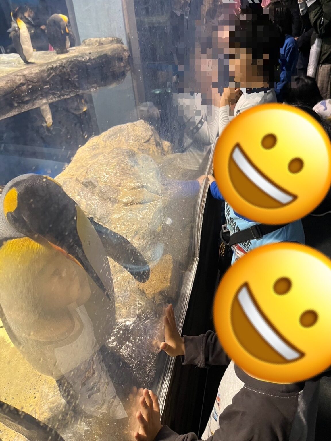 🐬水族館へ🐟 - 児童発達支援・放課後等デイサービス CHILULU